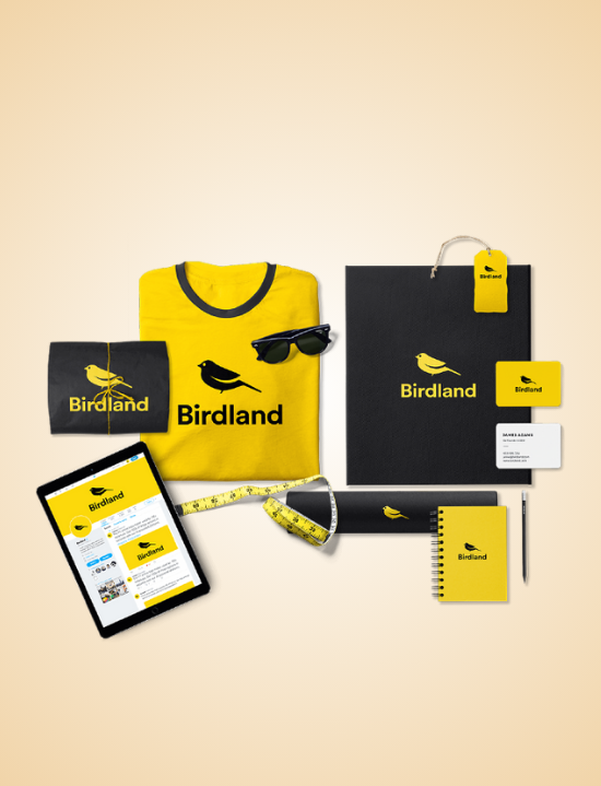 Branding & Design - Dreamtime Tech